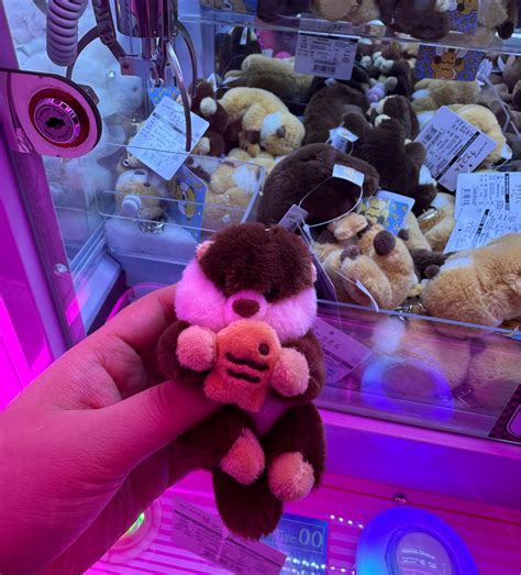 귀여워ㅠㅠ 콜리colley