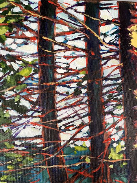 Along The Trail At Lake Achray Algonquin Park Helloart