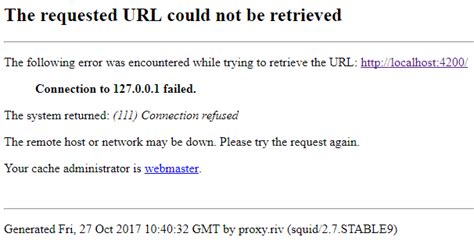 Squid Why There Is An Error The Requested Could Not Be Retrieved With Angular App