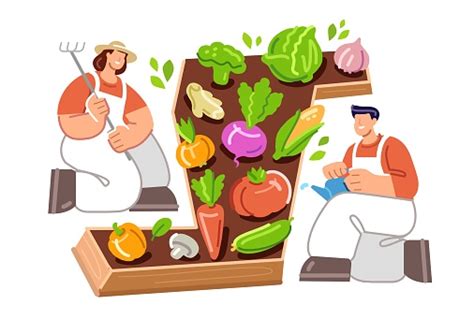 농장 노동자들은 농촌 농업에서 일하며 정원이나 온실에 채소를 심습니다 농부들은 유기농 식품을 재배합니다 건강한 생활방식에 대한 스톡 벡터 아트 및 기타 이미지 Istock