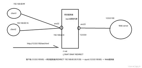Squid 缓存代理（一） 原理及搭建（传统代理、透明代理）squid Tproxy Csdn博客