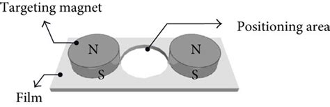 Schematic Diagrams Of A The Positioning Magnet B The 1st Stage