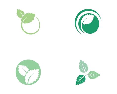 Premium Vector Mint Leaves Flat Vector Icon