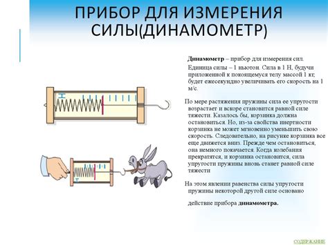 Силы в природе презентация онлайн