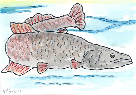 絵手紙作り公式淡水魚水族館の栃木県なかがわ水遊園