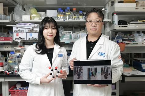 Kaist 획기적 탈모방지 코팅기술 개발
