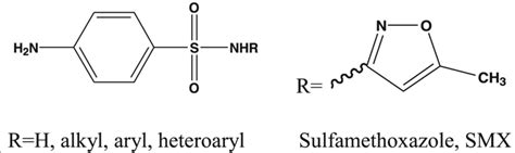 General Structure Of Sulfonamides Download Scientific Diagram