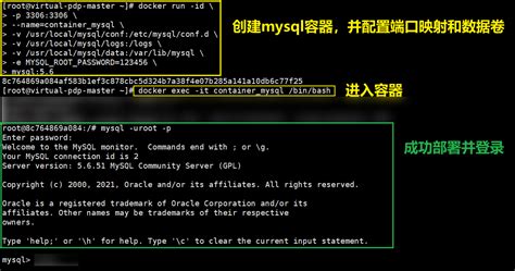Docker 05使用docker部署mysql并配置端口映射docker Mysql配置映射 Csdn博客