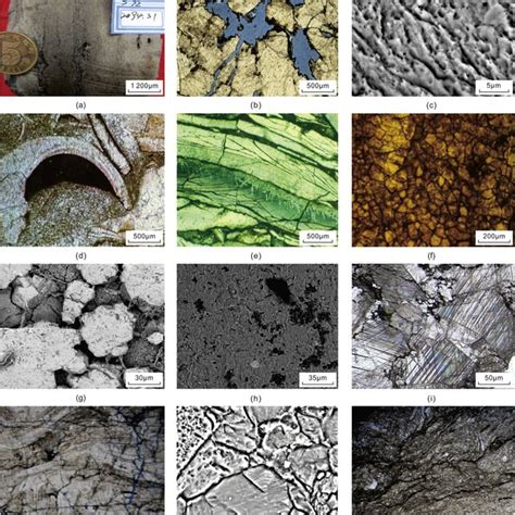 Distribution Of Sedimentary Microfacies During The Depositional Period Download Scientific