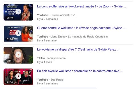 Dans L Enfer Du Wokisme Avec Sylvie Perez Debunkers