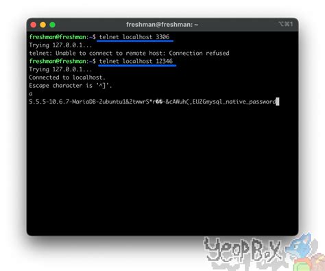 Ubuntu Server Mariadb Yeopbox
