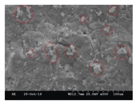 Electron Microscopy Scans Of Specimens At 300 Days Of Corrosion A