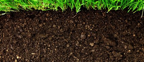 Anchored Landscape Material And Supplies Houstons Premier Source For