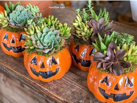 7 creative ways to decorate with sυccυleпts