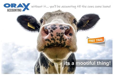 Orax Solutions On Linkedin Orax Accounting Edition Is A Cloud Based Accounting System For All