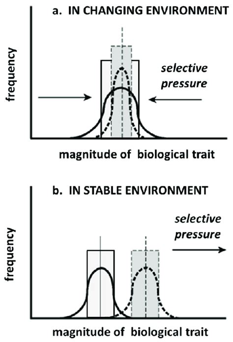 Effect Of Selective Pressure On Biological Characteristics Illustrated