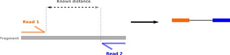 Slides Mapping Mapping Sequence Analysis