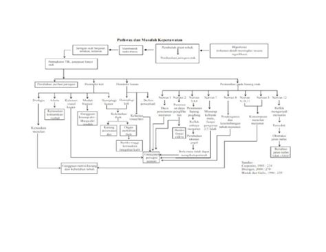 Pathway Cva Hemoragik Pdf