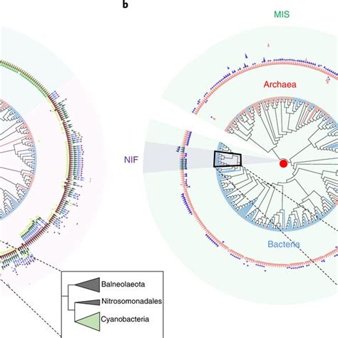 Processes And Components Of Fe S Cluster Biogenesis Pathways A Main Download Scientific