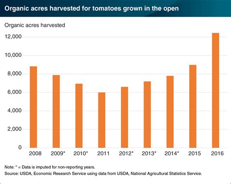 Us Growers Are Harvesting An Increasing Amount Of Organic Tomatoes