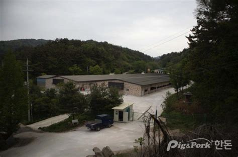 금강축산 송일환 대표