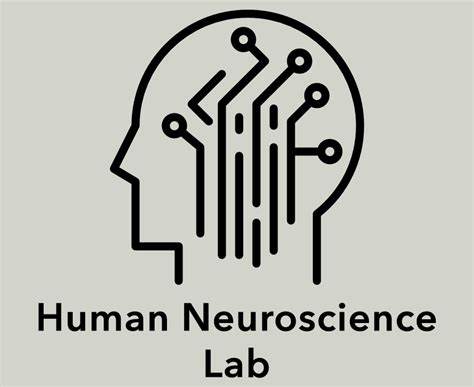Research Laboratory Websites Cognitive Sciences Uci Social Sciences