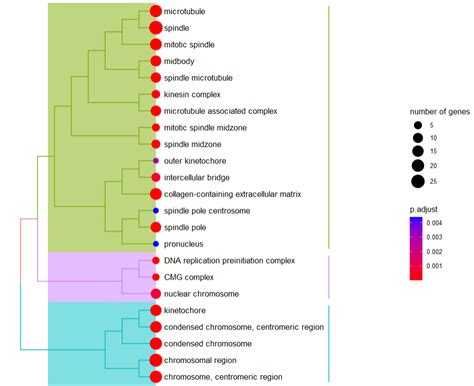 Clusterprofiler包富集分析与可视化 Lis Bioinfo Blog