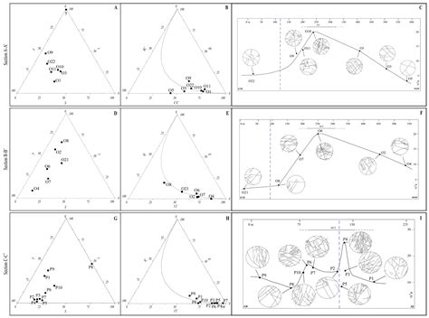 Characterization Of The Fracture Network And Its Spatial Variability In Complex Faulted Zones