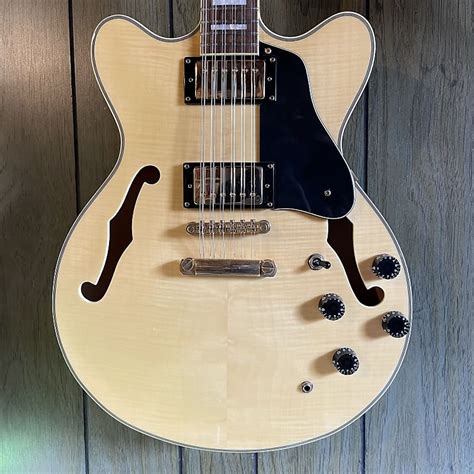 Agile As820 12 String Semi Hollow Electric Guitar Reverb