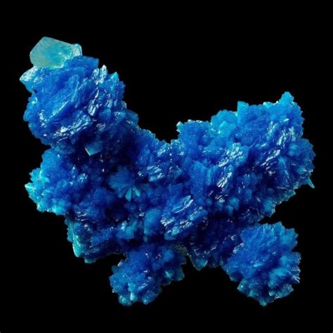 Encyclopedia Phyllosilicates