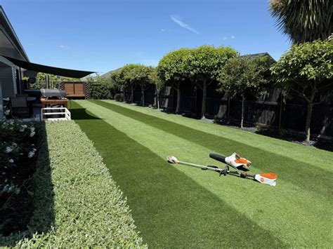 Which Nzla Grass Seed Is Best For Your Lawn New Zealand Lawn Addicts