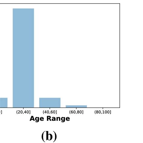 visualization of overall demographic features estimated by the deepface