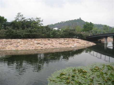 毛石驳岸 驳岸 伤感说说吧
