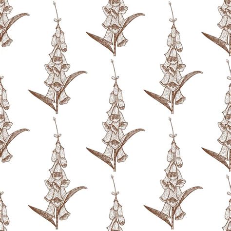 Foxglove Patrón Sin Costuras Fondo Gráfico Dibujado A Mano Para El