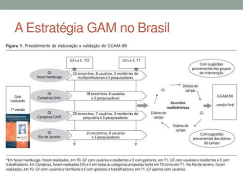 A Estratégia Da Gestão Autônoma Da Medicação