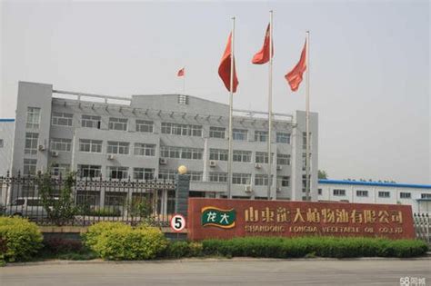 龙大食品集团logo设计及品牌VI 力英品牌设计顾问公司