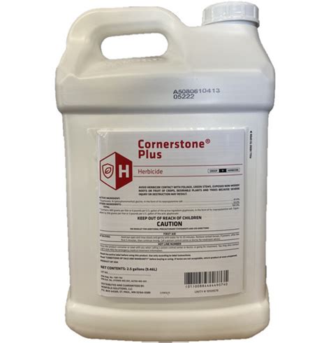 Great Reasons To Use Cornerstone Plus Hot Search Engine