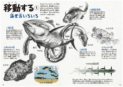 楽天ブックス 魚の教え（下巻） 泳いで生き抜く 早武忠利 9784906182060 本