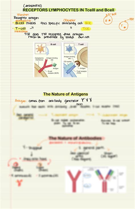 Solution Immune System Adaptive Immunity And Host Microbes