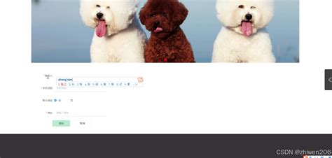 Nodejs毕设 宠物用品商场 论文程序 Csdn博客