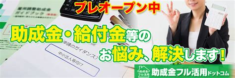 損をしないシリーズ 助成金フル活用ドットコム