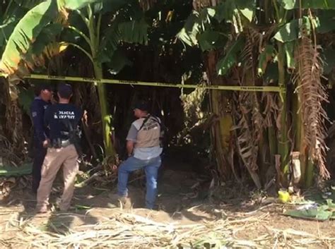 Al Menos 33 Los Cuerpos Hallados En Fosa Clandestina De Nayarit
