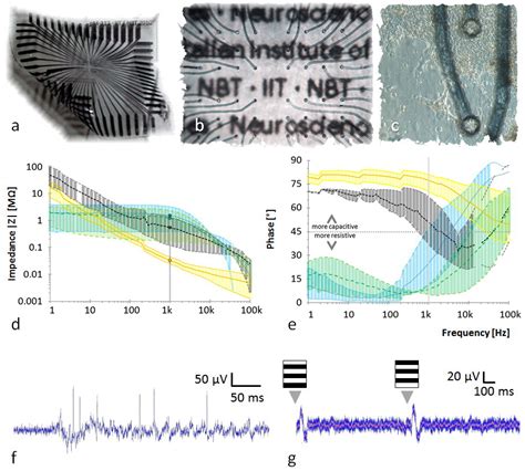 Prospects For Neuroprosthetics Flexible Microelectrode Arrays With