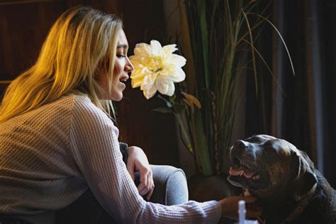 Mind Readers 18 Ways Your Dog Knows You Inside Out Pets Are Everything