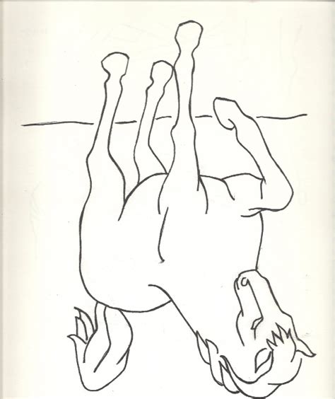 Upside Down Drawing Exercise Drawing Tips Guide