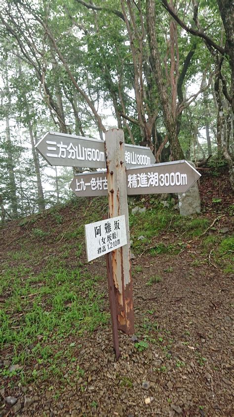 三方分山・パノラマ台 2019 07 07 Inter20fantasyさんの三方分山・パノラマ台の活動データ Yamap ヤマップ