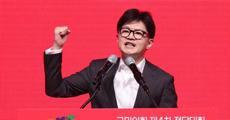 청담동 술자리 카페 사장 민사 소송 패소法 의견표명종합2보