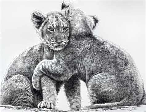 Lion Cubs Darryn Eggleton Clarendon Fine Art