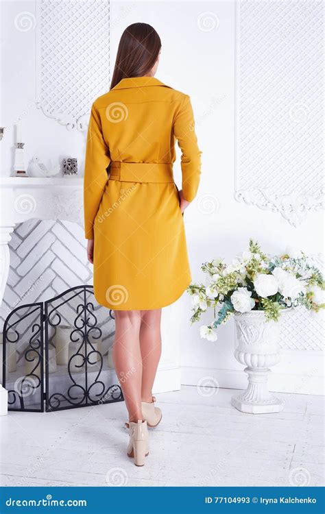 Mooie Sexy De Catalogus Modieuze Modieuze Kleding Van De Vrouwenkleding
