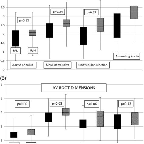 Aortic Root Dimensions Preoperative A And At Follow‐up B